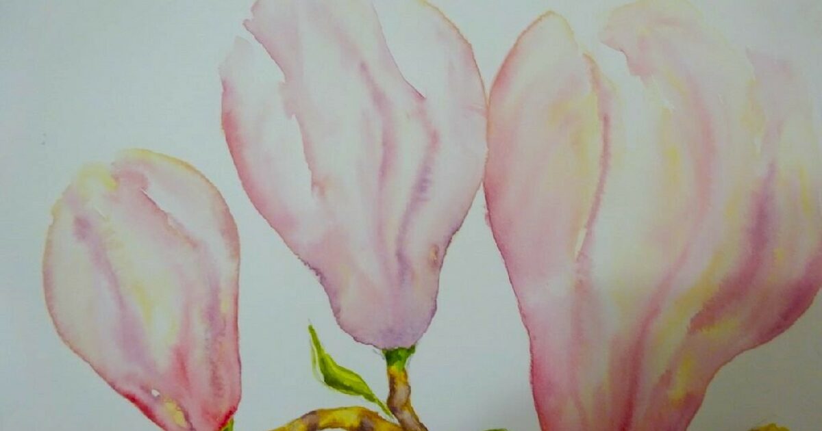 Burghley House | Watercolour Painting Days - Magnolias