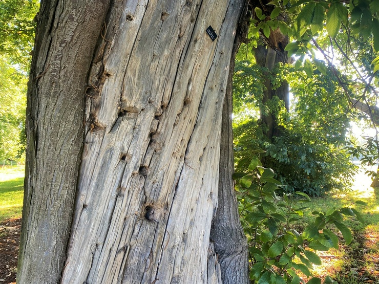 Burghley House | On This Day: Bomb Explodes at Burghley During World…