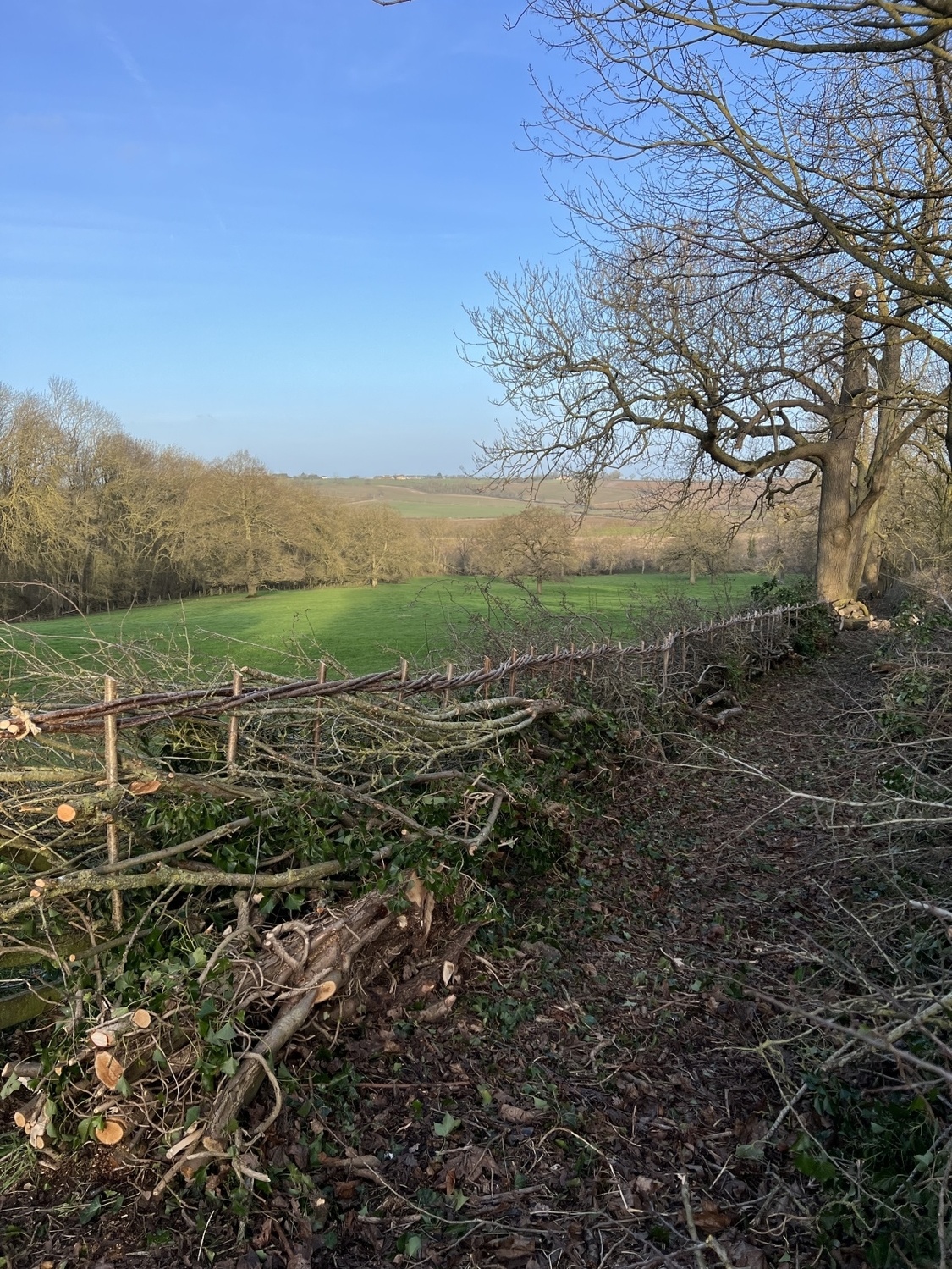 Burghley House | Preserving a vital feature of our rural landscape